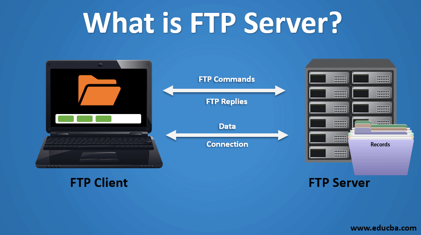 Ftp Server Digunakan Pada Topologi Jaringan Dengan Arsitektur, Ini ... Ftp Server Digunakan Pada Topologi Jaringan Dengan Arsitektur, Ini ...