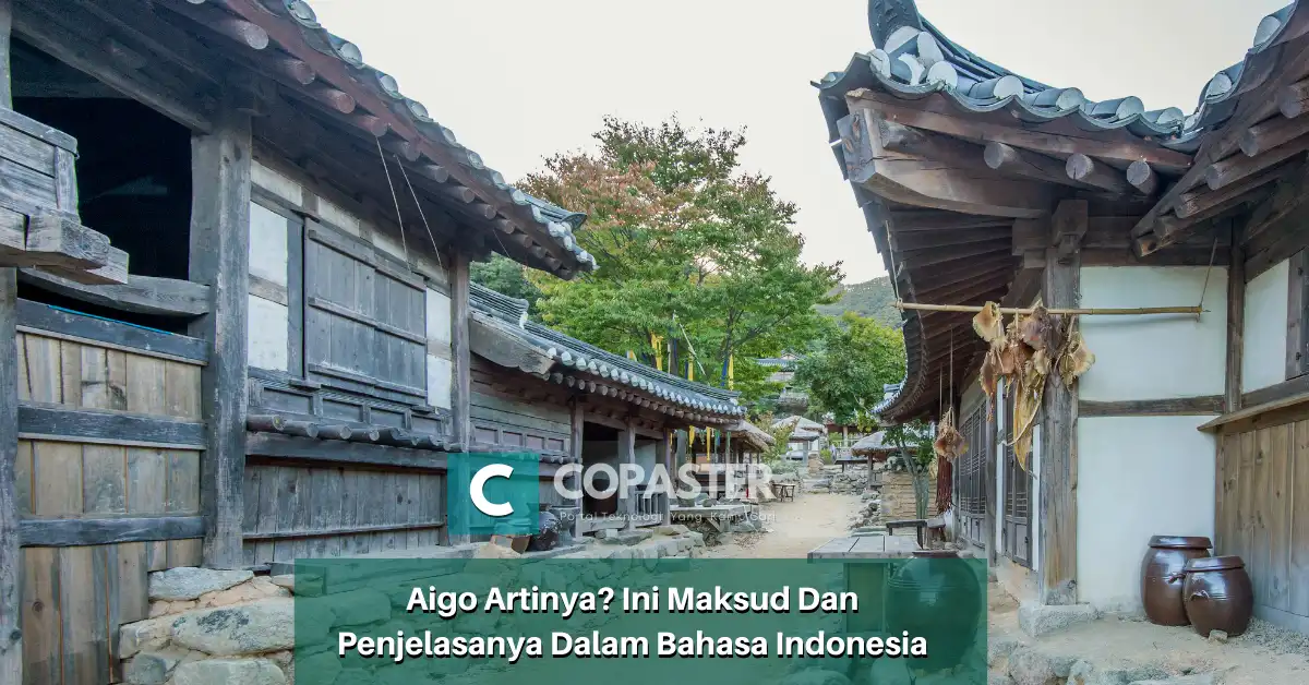 Aigo Artinya? Ini Maksud Dan Penjelasanya Dalam Bahasa Indonesia | Copaster