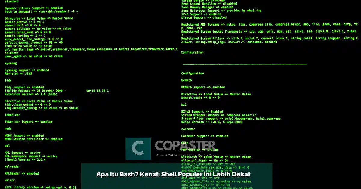 Apa Itu Bash? Kenali Shell Populer Ini Lebih Dekat | Copaster