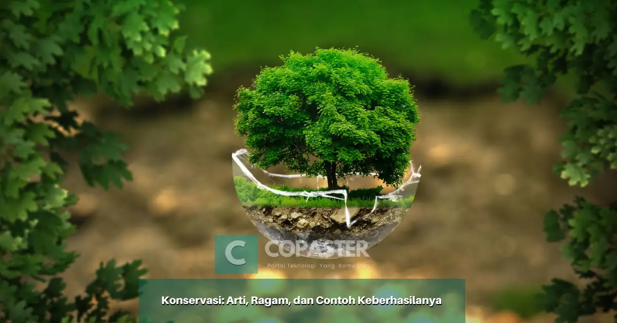 Konservasi: Arti, Ragam, dan Contoh Keberhasilanya | Copaster