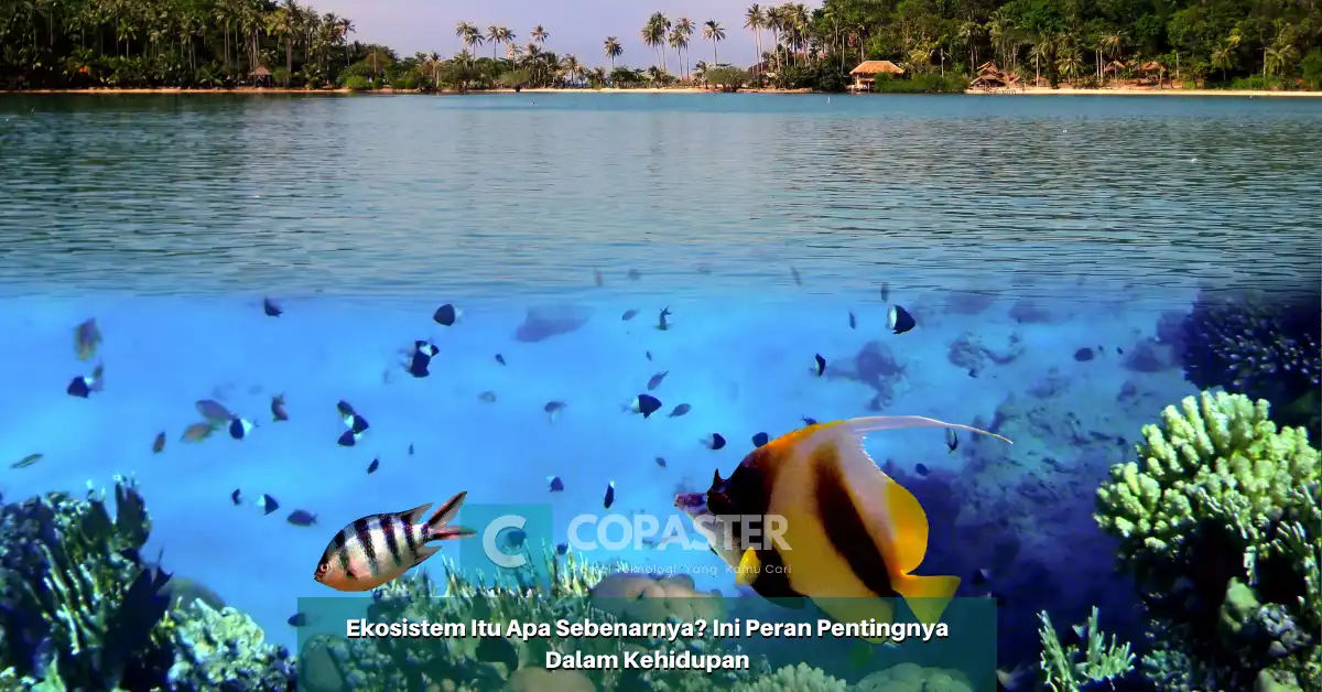 Ekosistem Itu Apa Sebenarnya? Ini Peran Pentingnya Dalam Kehidupan ...